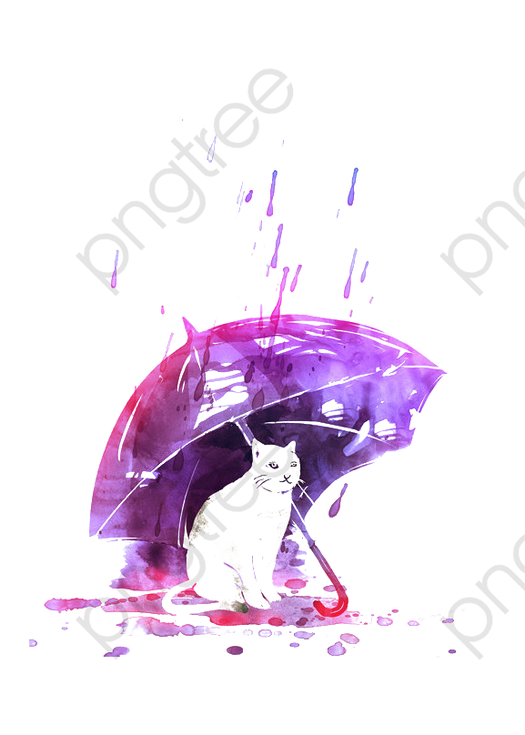 정리하는 공간 · Do It Right Now